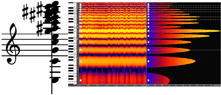 Harmonic Series - structure, application and background